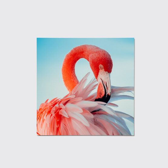 Photo Tiles for Wall | Budget Stickable Photo Tiles | Squared.one